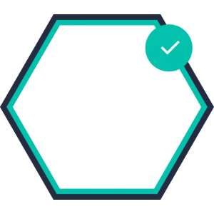 Aptira Hexagon Icon - Aptira